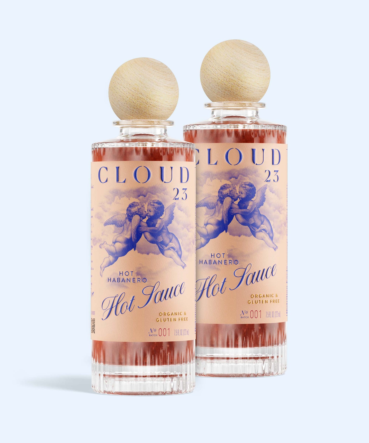 Cloud23 | Store Locator